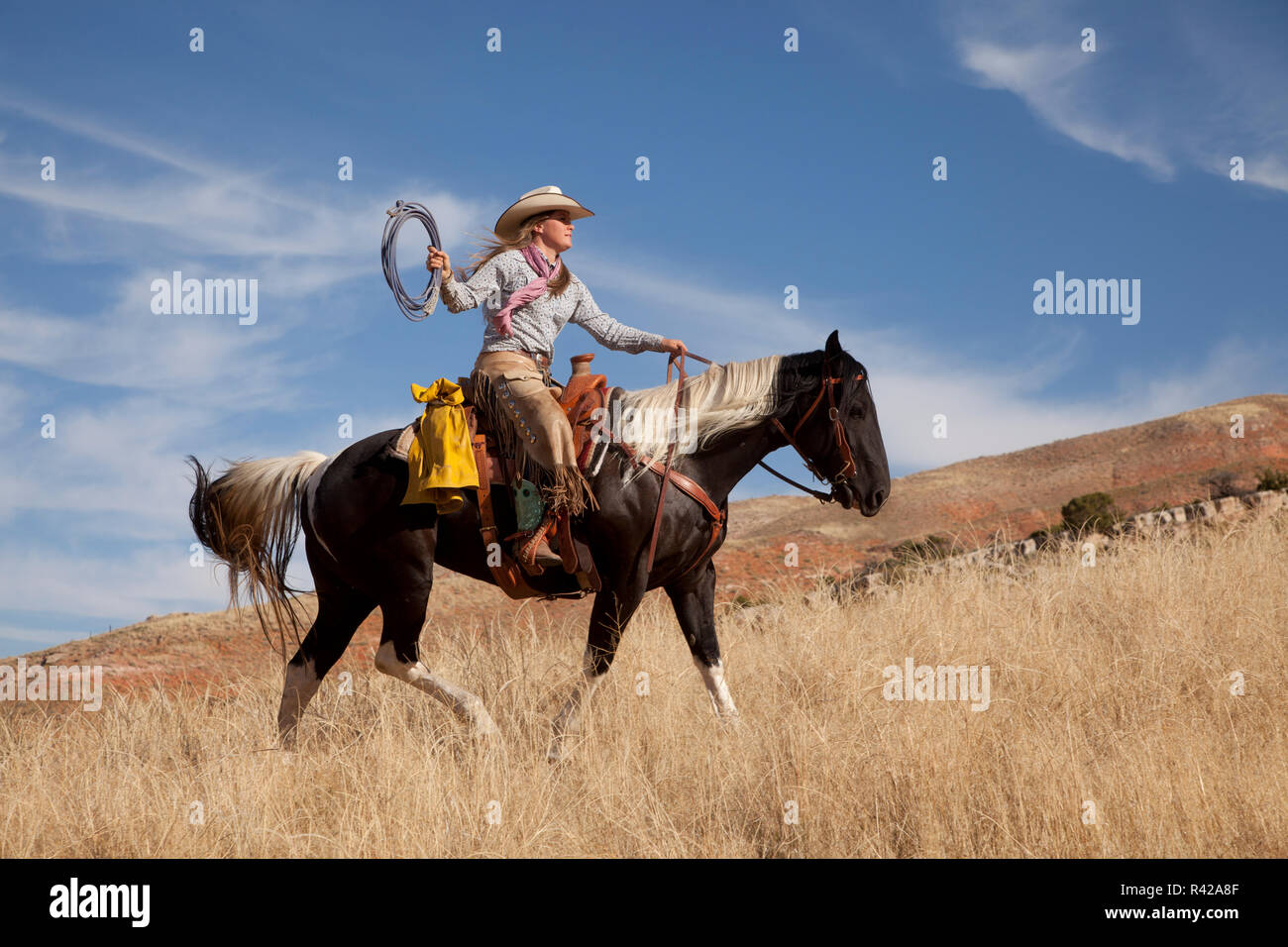 Cowgirl horse lasso hi-res stock photography and images - Alamy