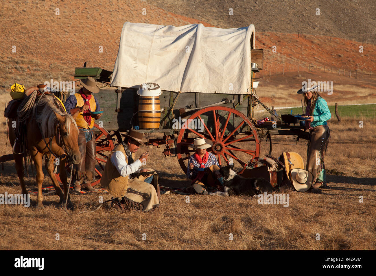 American Chuck Wagon Stock Photos & American Chuck Wagon Stock Images ...