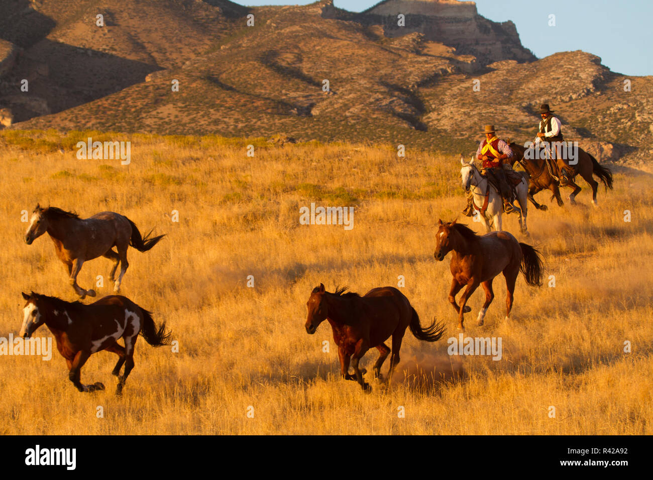 Two cowboys riding horses hi-res stock photography and images - Alamy