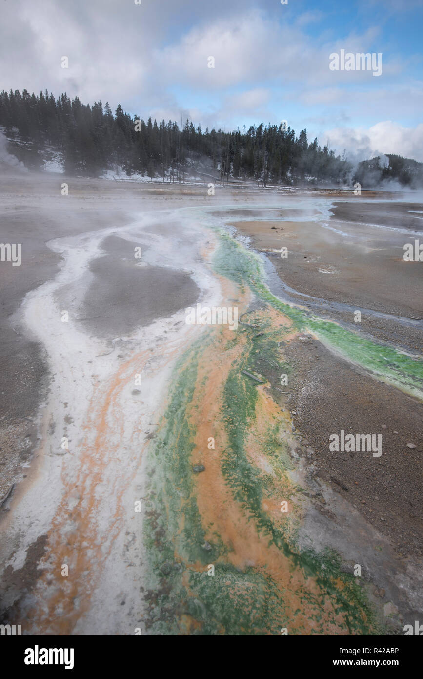 Thermophile hi-res stock photography and images - Alamy