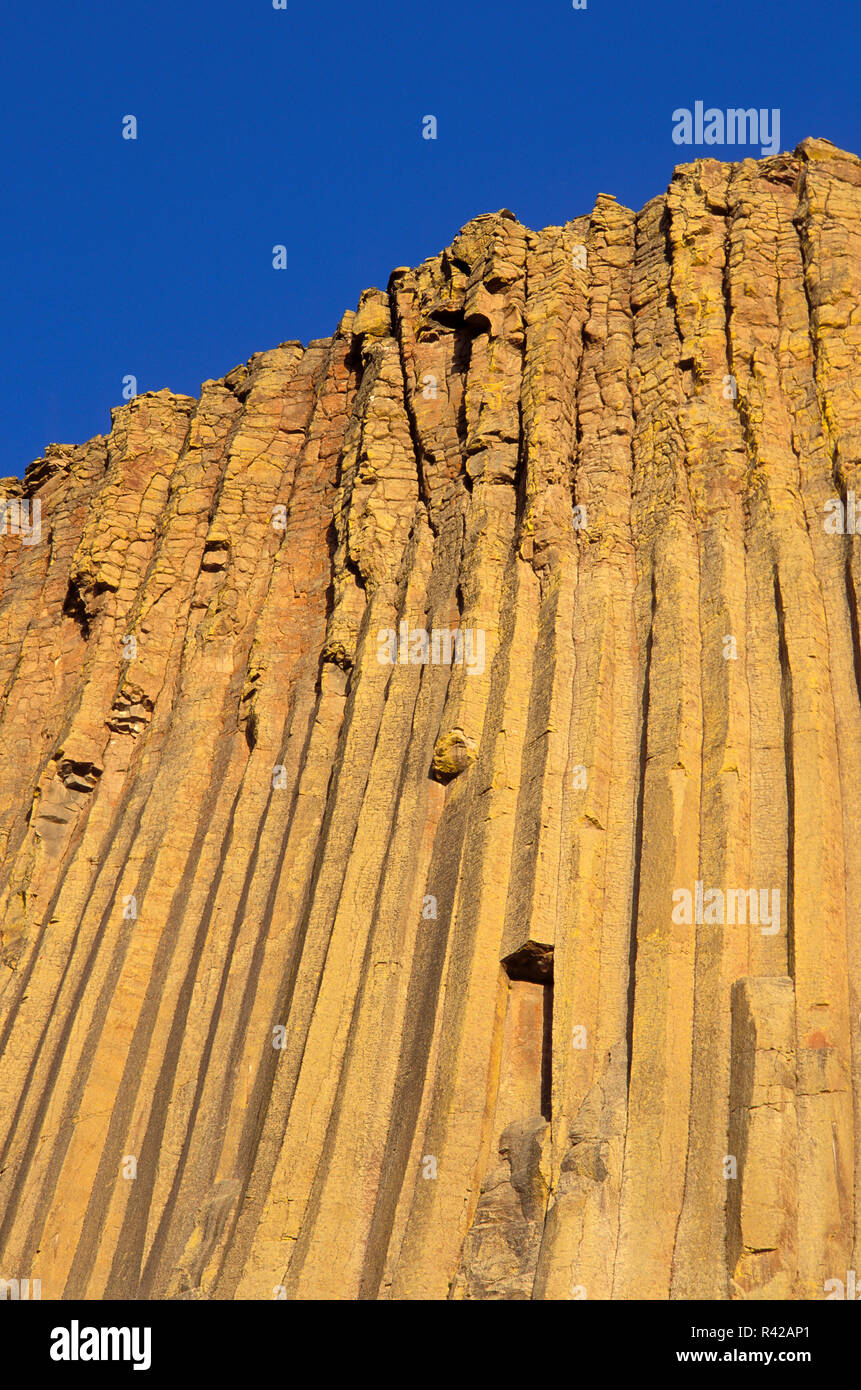 Evening light on column detail, Devil's Tower National Monument ...