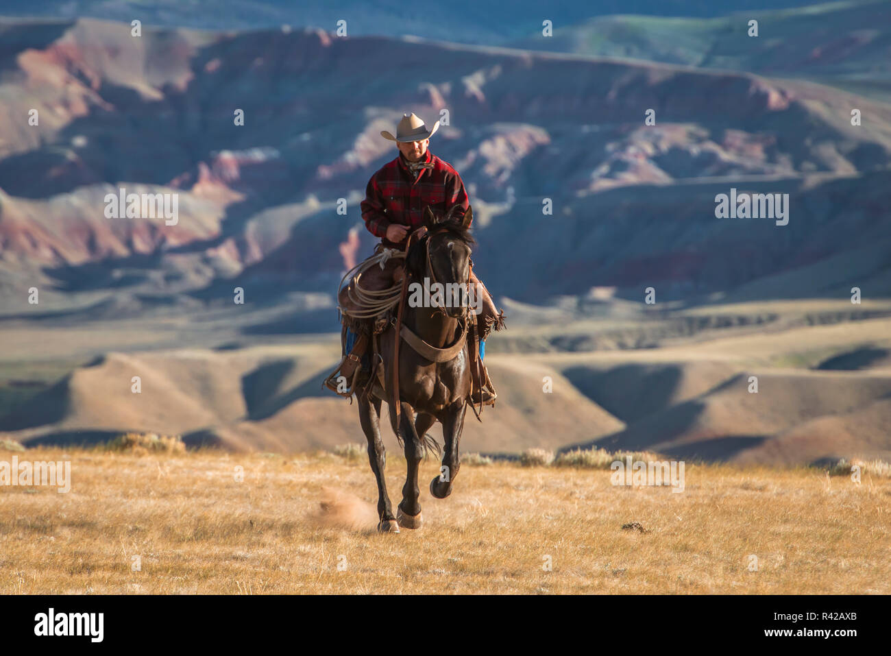 Lone rider sauntering forward with Badlands in background Stock Photo ...