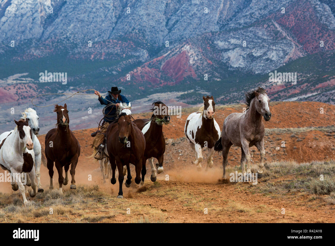 Rounding the horn hi-res stock photography and images - Alamy