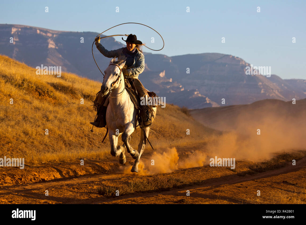Cowgirl riding fast hi-res stock photography and images - Alamy