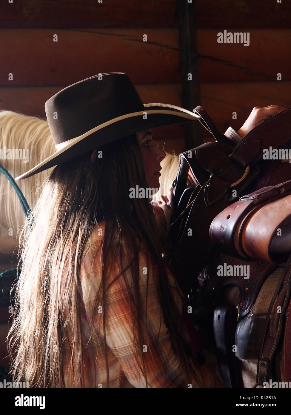 Cowboy saddling horse hi-res stock photography and images - Alamy