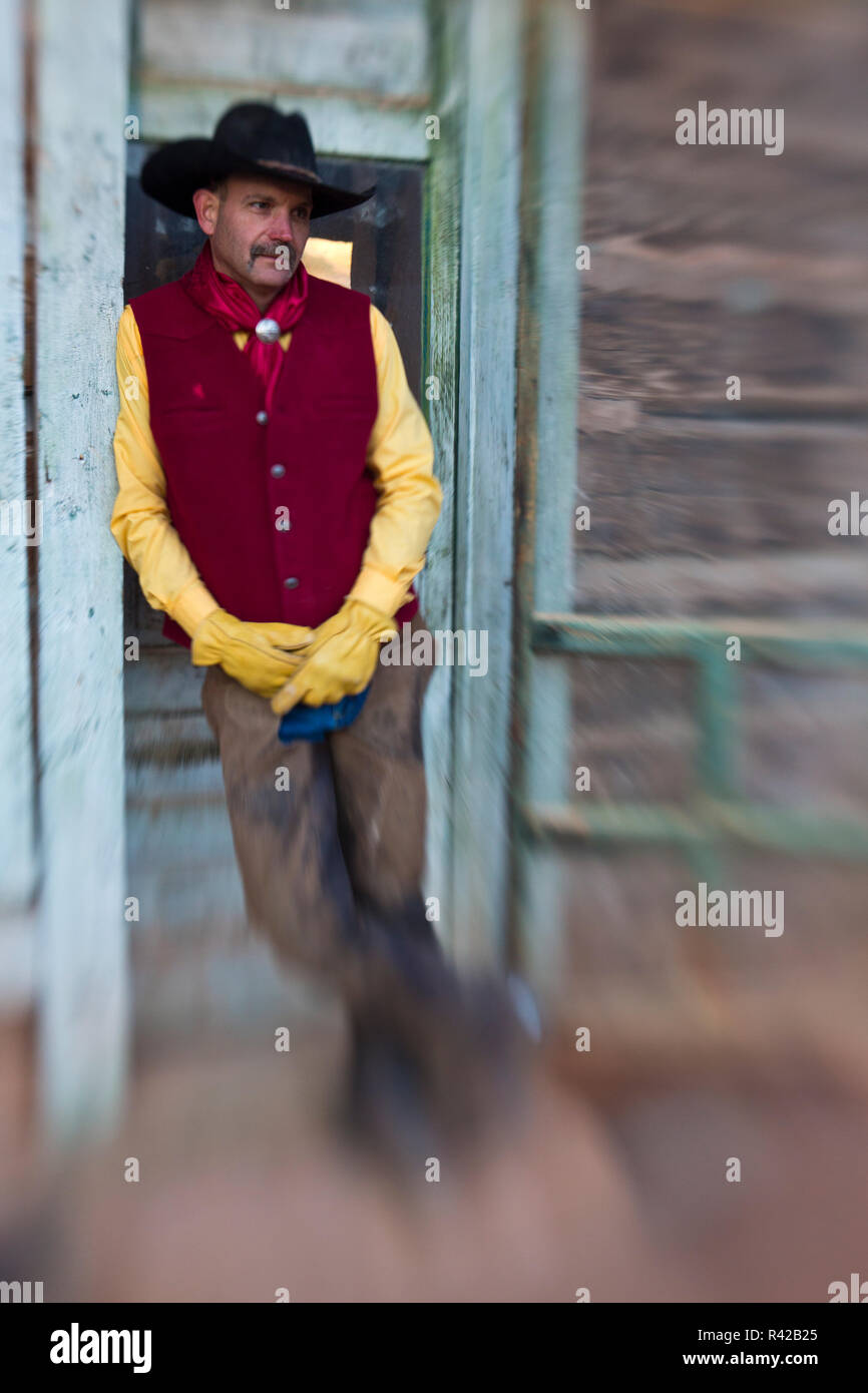 Terry shell hi-res stock photography and images - Alamy