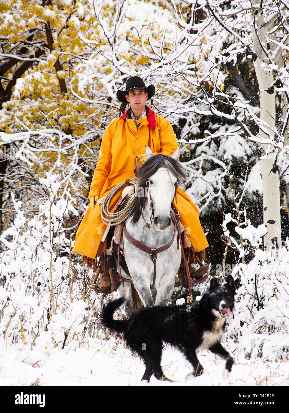 Cowboy riding in autumn snow hi-res stock photography and images - Alamy