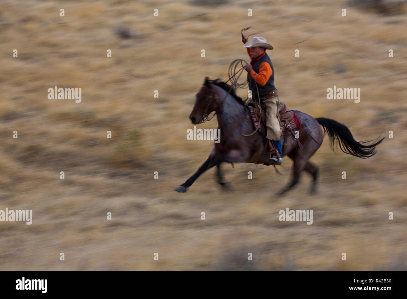 Cowboy riding the range hi-res stock photography and images - Alamy