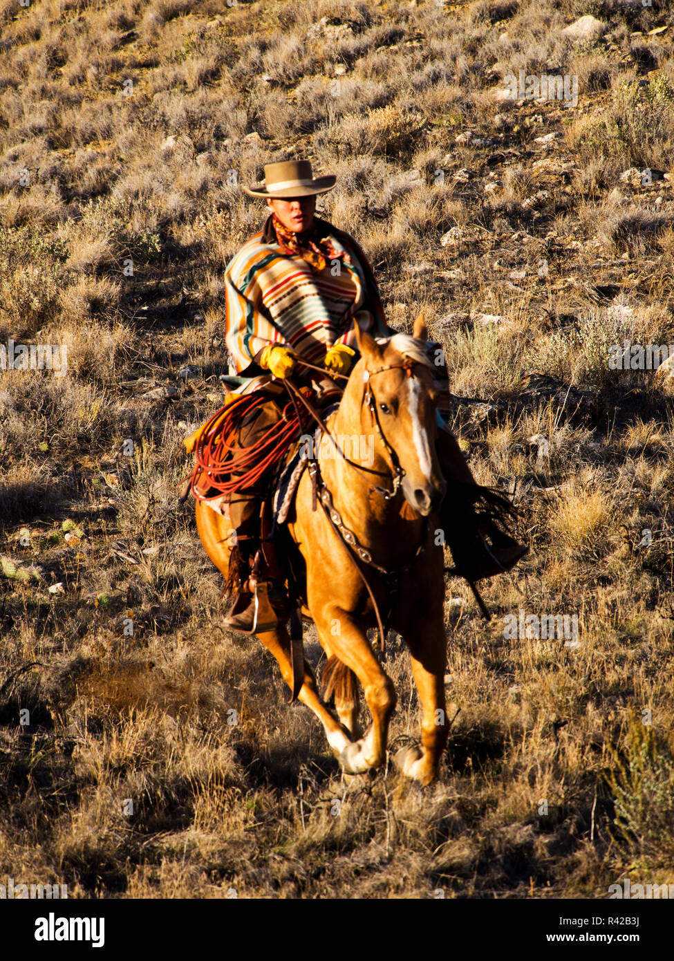Cowgirl riding fast hi-res stock photography and images - Alamy