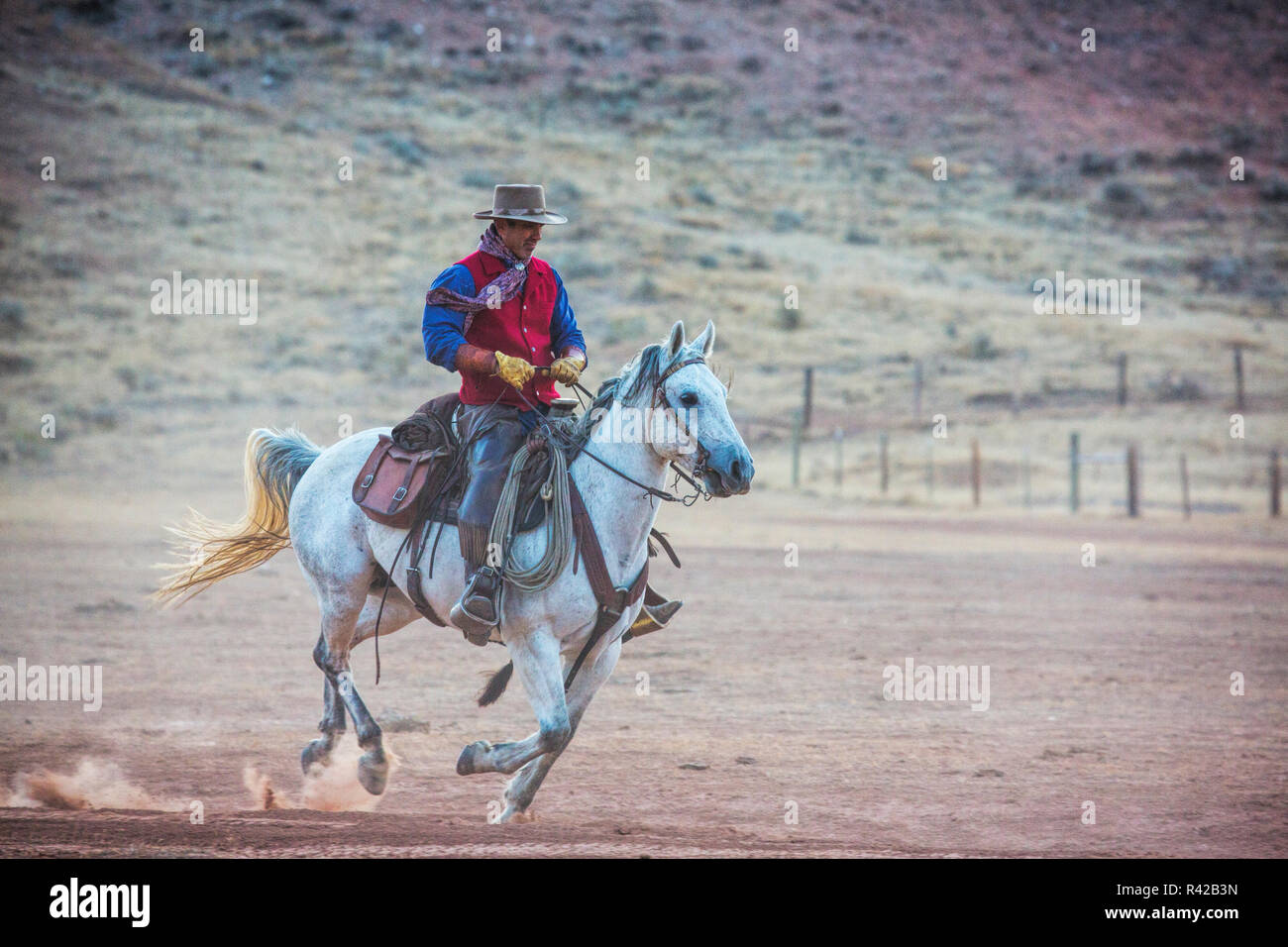 Cowboy riding the range hi-res stock photography and images - Alamy