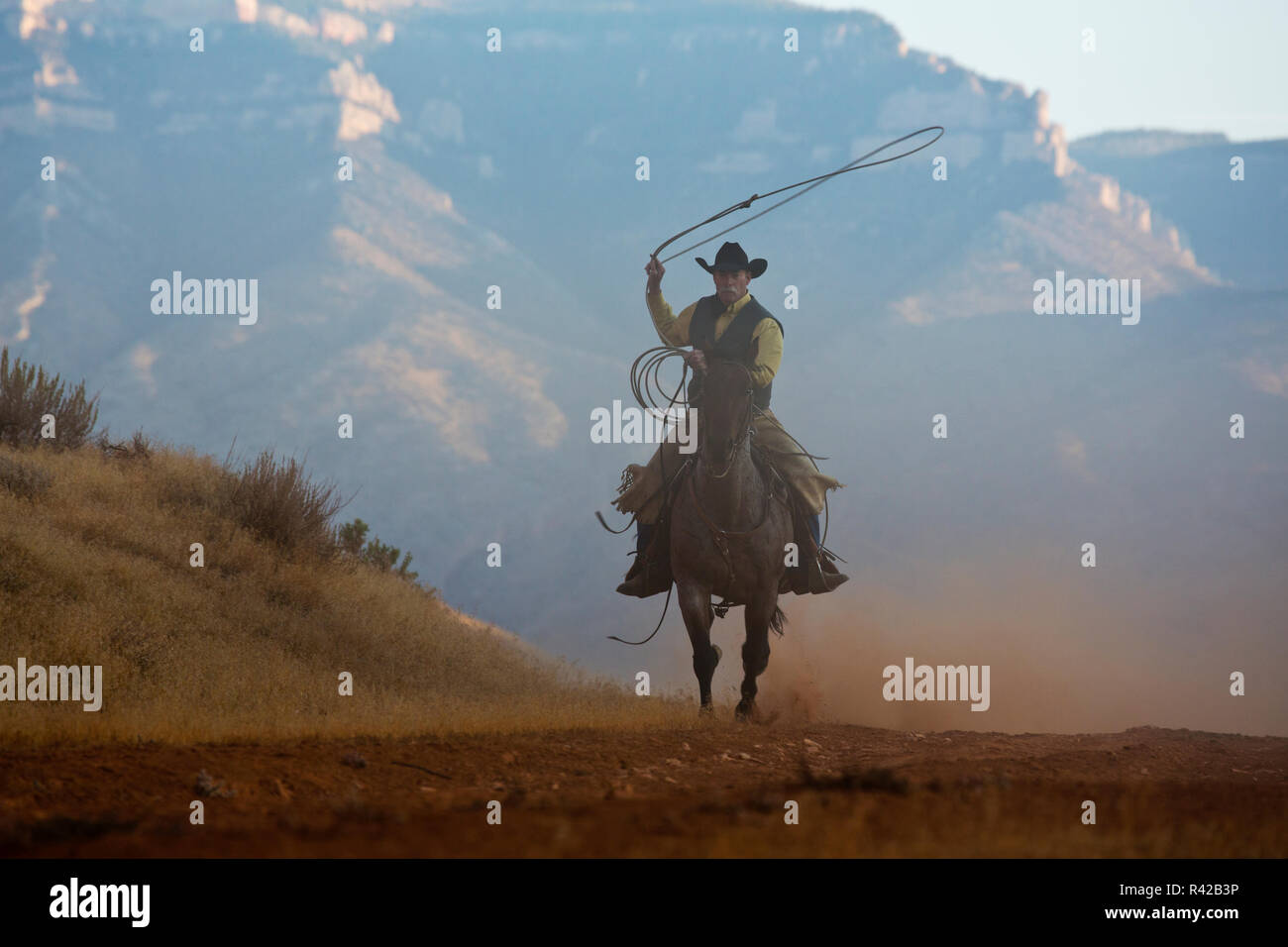USA, Wyoming, Shell, Cowboy Riding and Roping (MR Stock Photo - Alamy