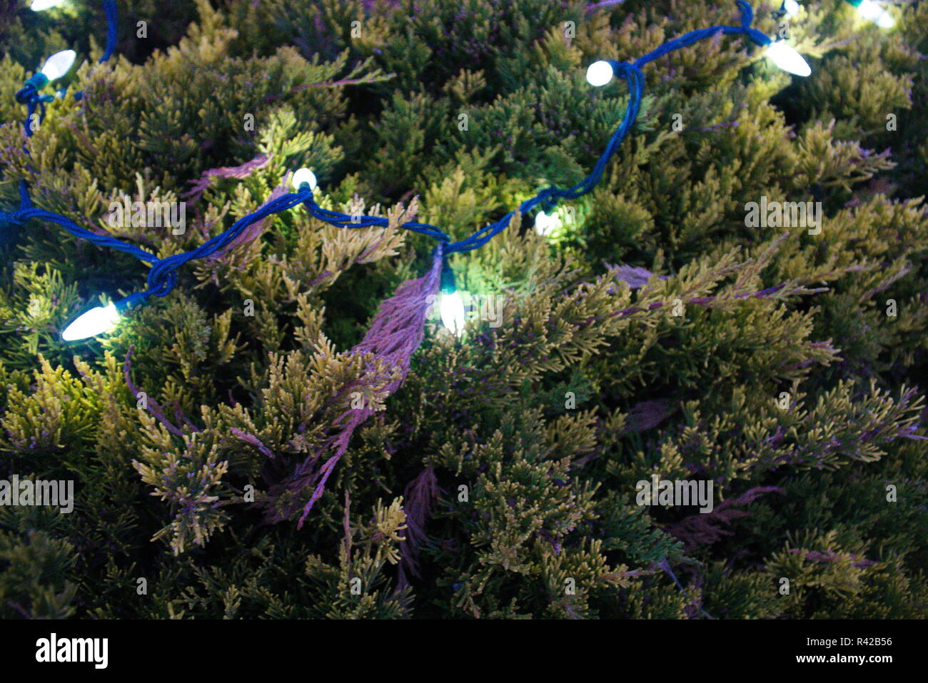 Strand christmas lights hi-res stock photography and images - Alamy