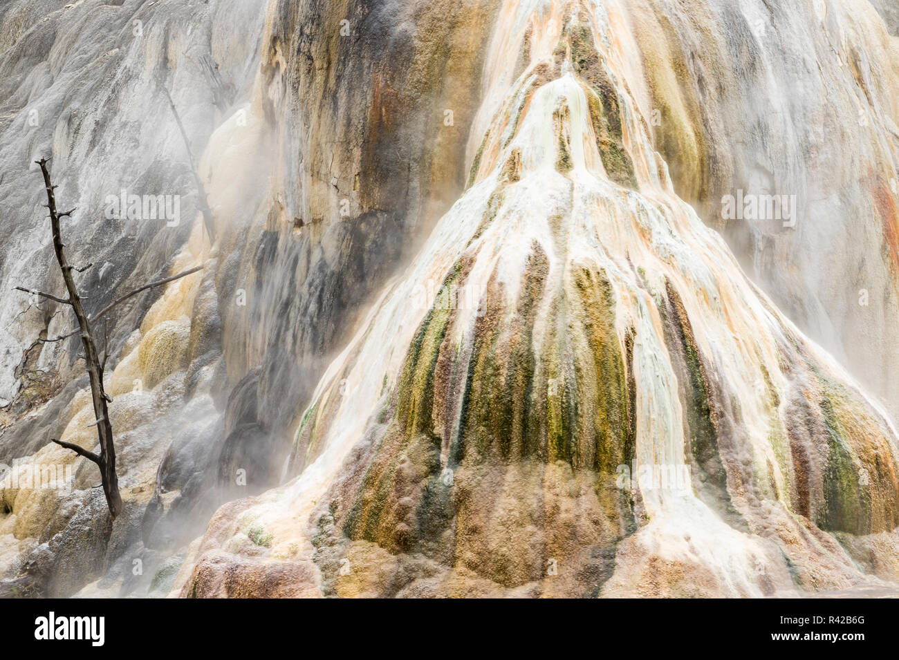 Geyser mound stained with thermophilic microorganisms, Mammoth Hot ...