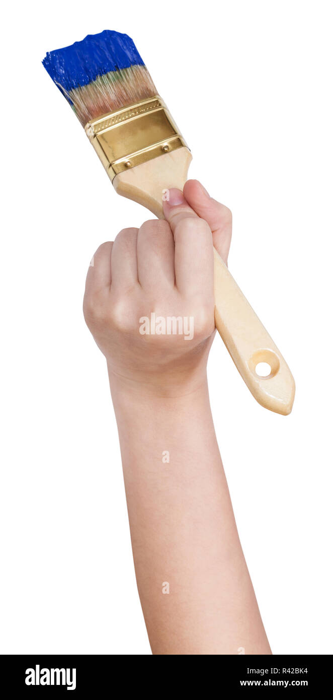 painter hand with flat paint brush paints in blue Stock Photo - Alamy