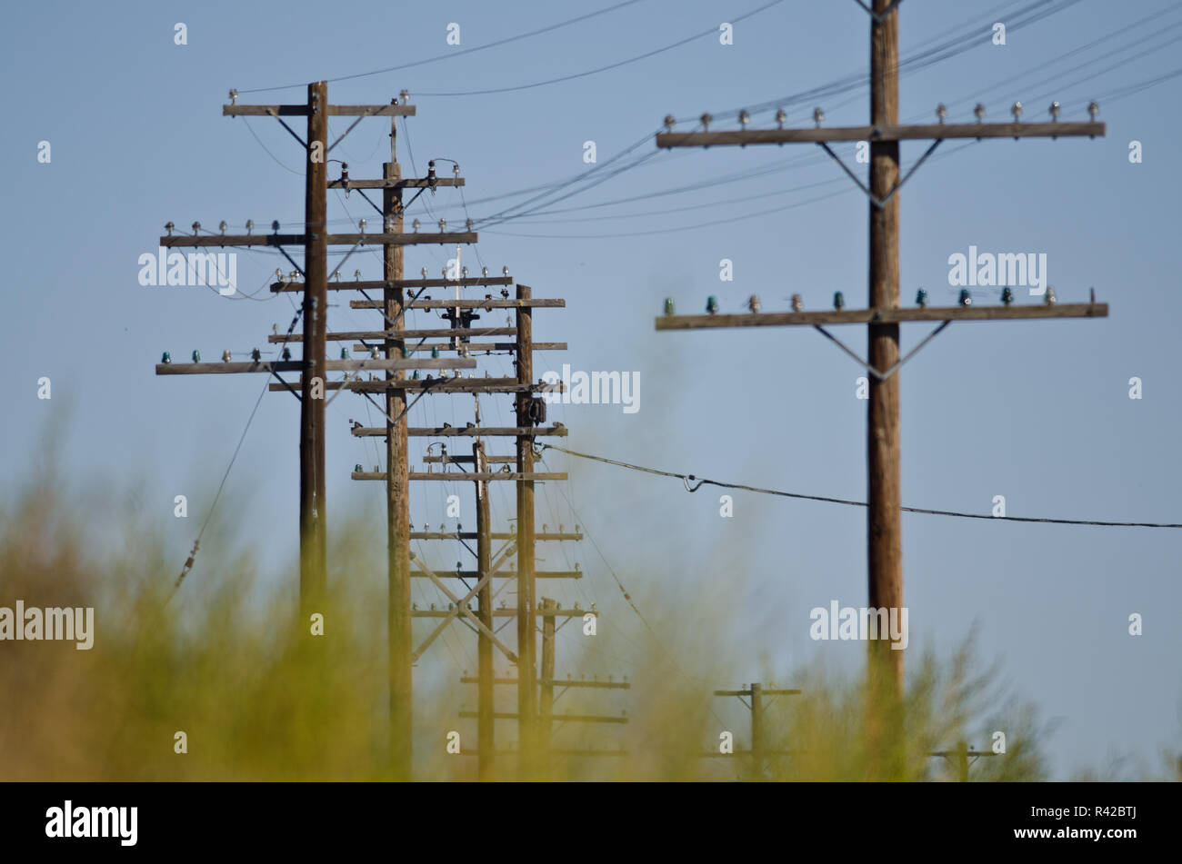 Utility pole in desert hi-res stock photography and images - Alamy