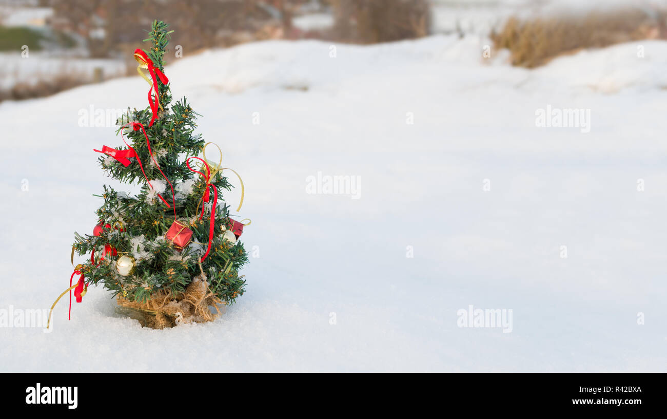 Snow Covered Christmas Tree Stock Photo - Alamy