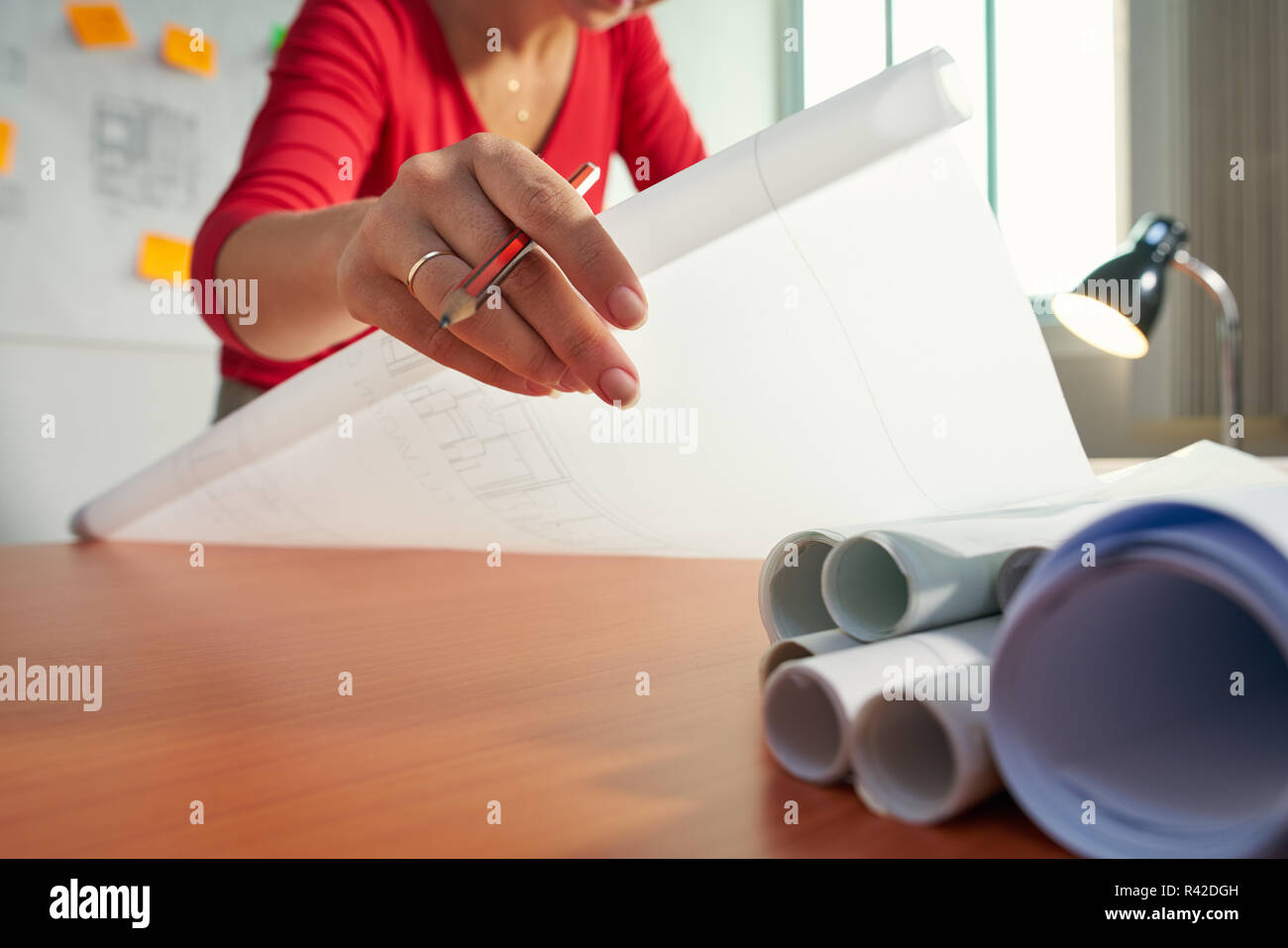 1 Young Architect College Student Doing Homework Drawing Plan Stock ...