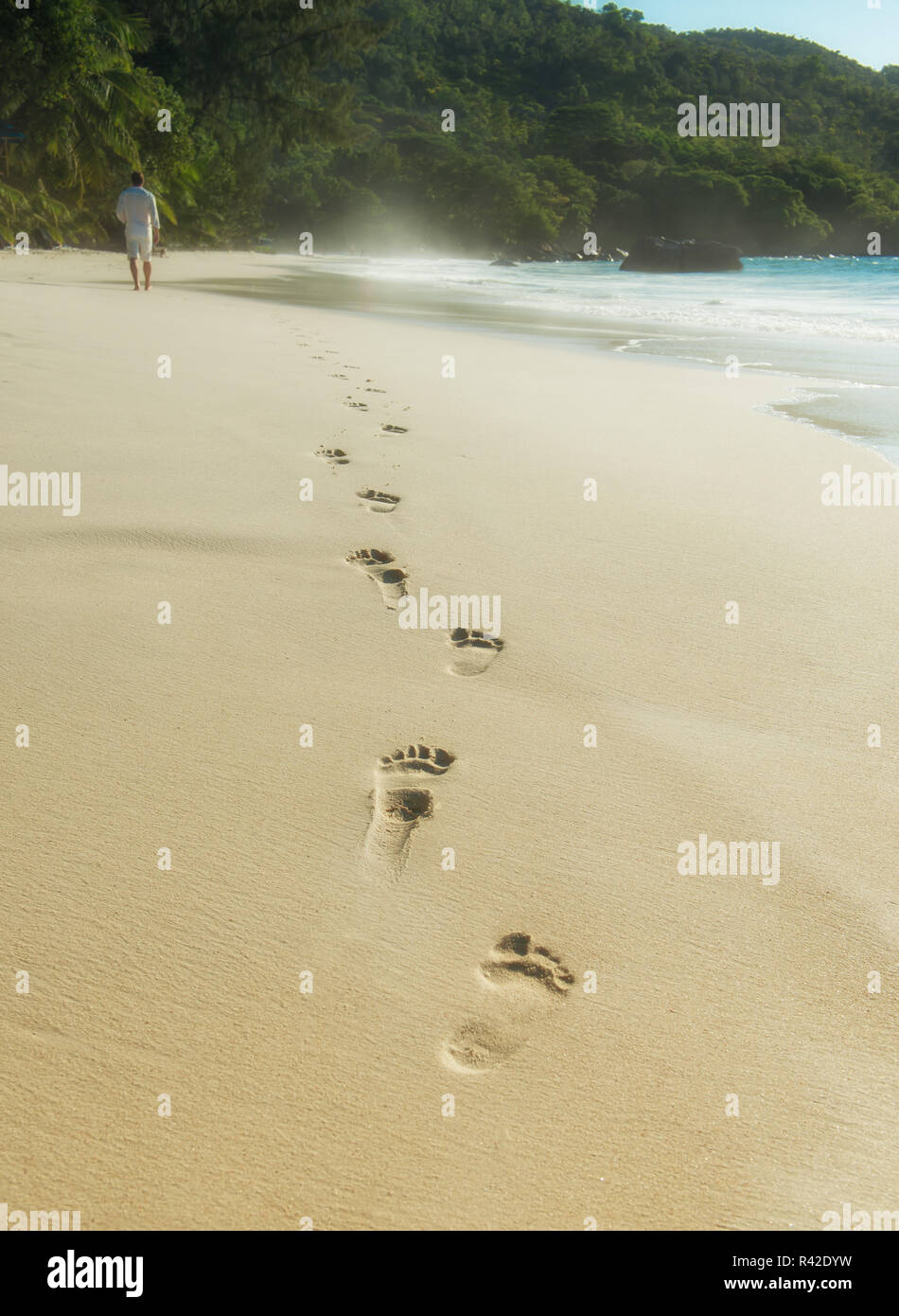 footprints in the sand at the beach Stock Photo - Alamy