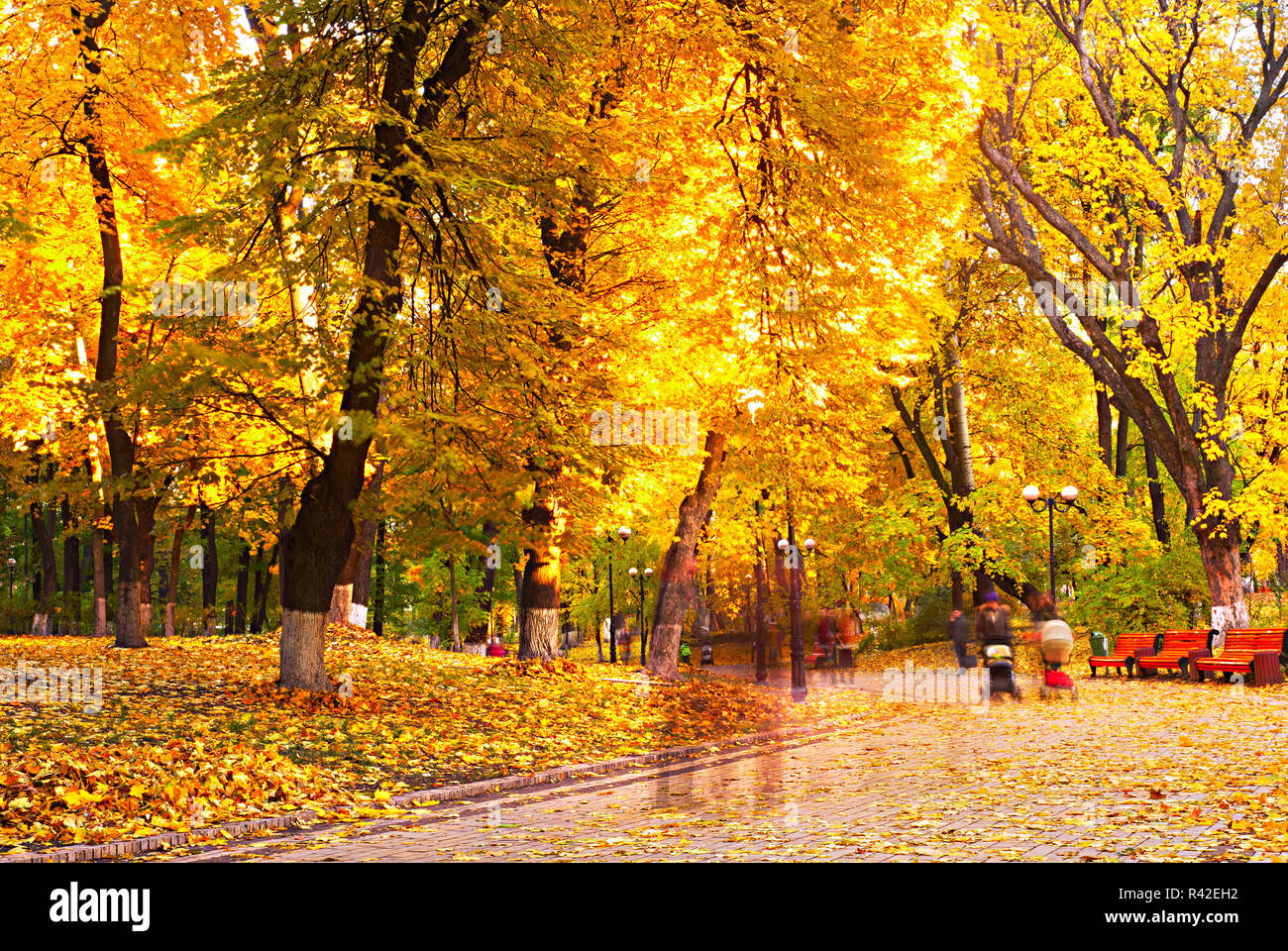 Park in the fall Stock Photo - Alamy