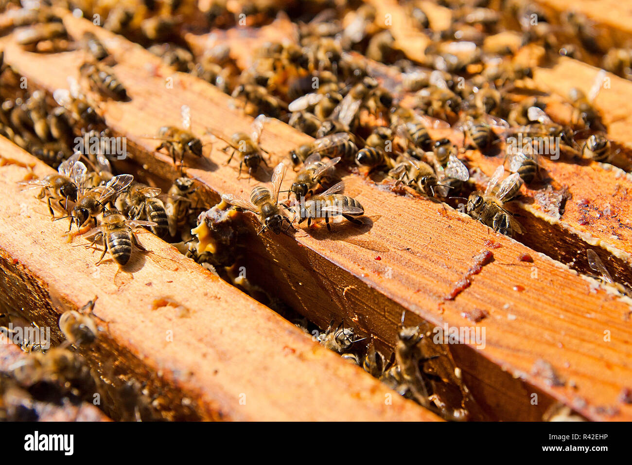 Wax figure working hi-res stock photography and images - Alamy