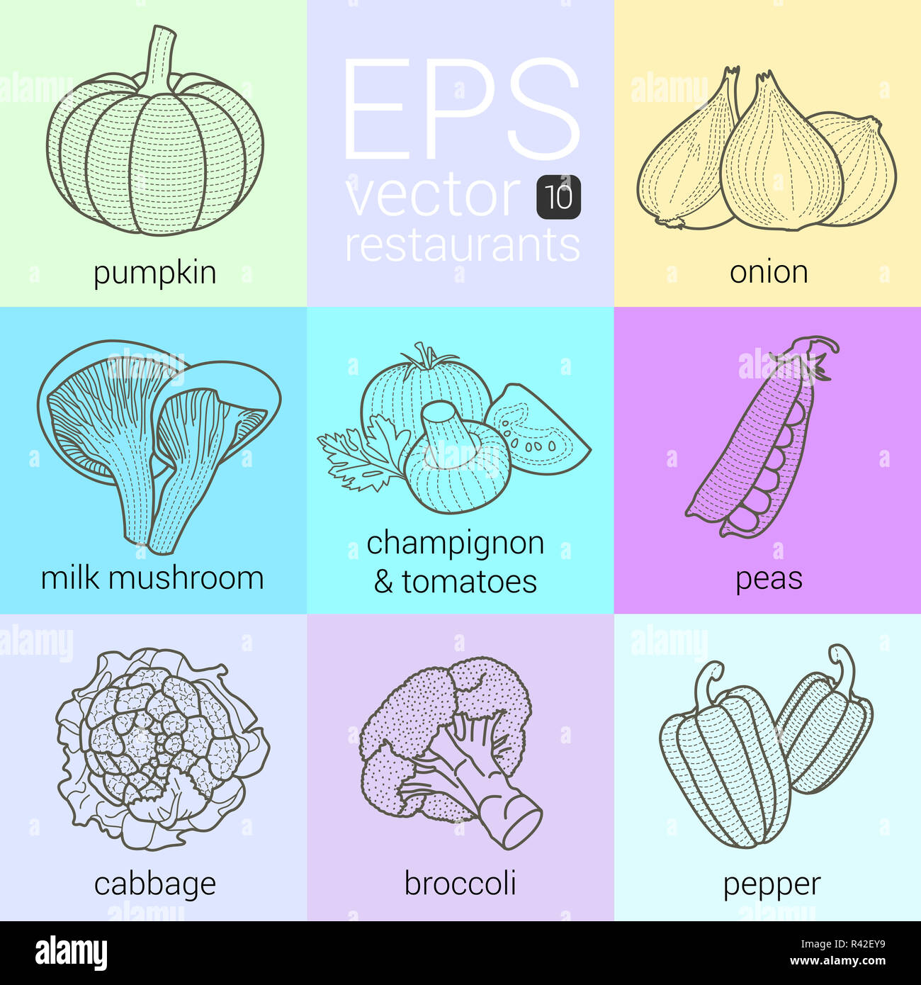 vector set icons vegetables contour linear pictogram collection ...