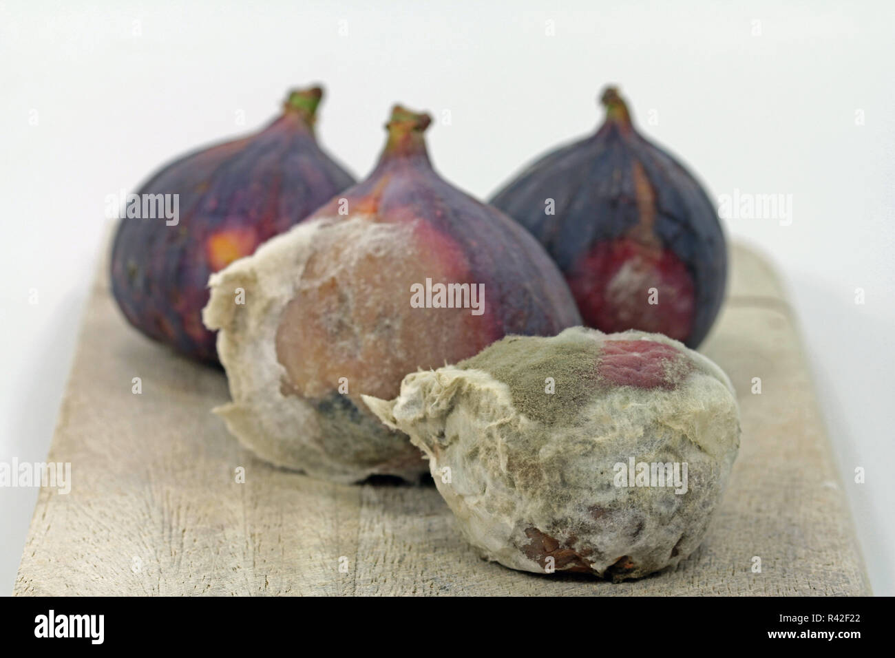Rotting fig hi-res stock photography and images - Alamy