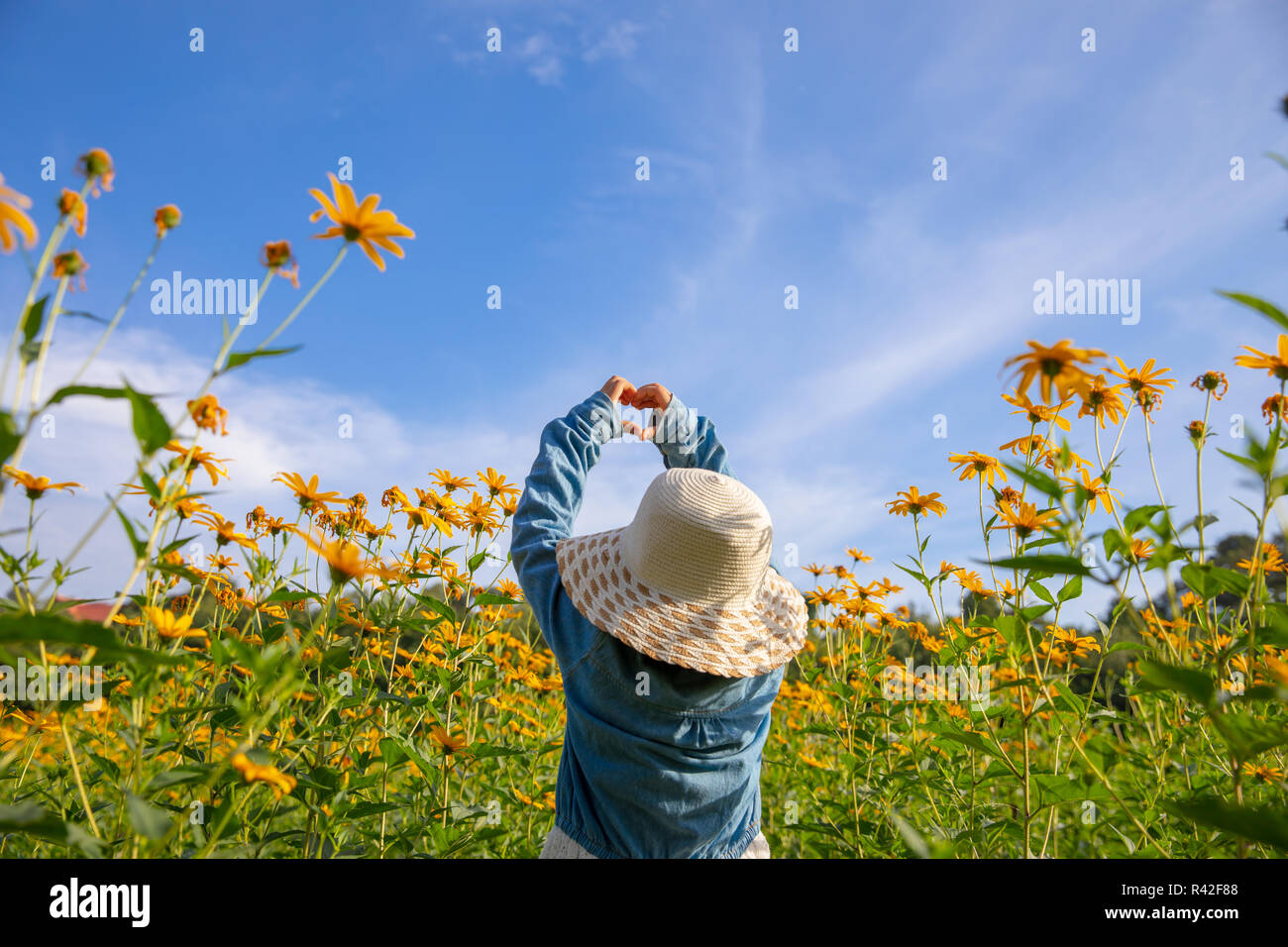 Dutch girl flowers hi-res stock photography and images - Alamy