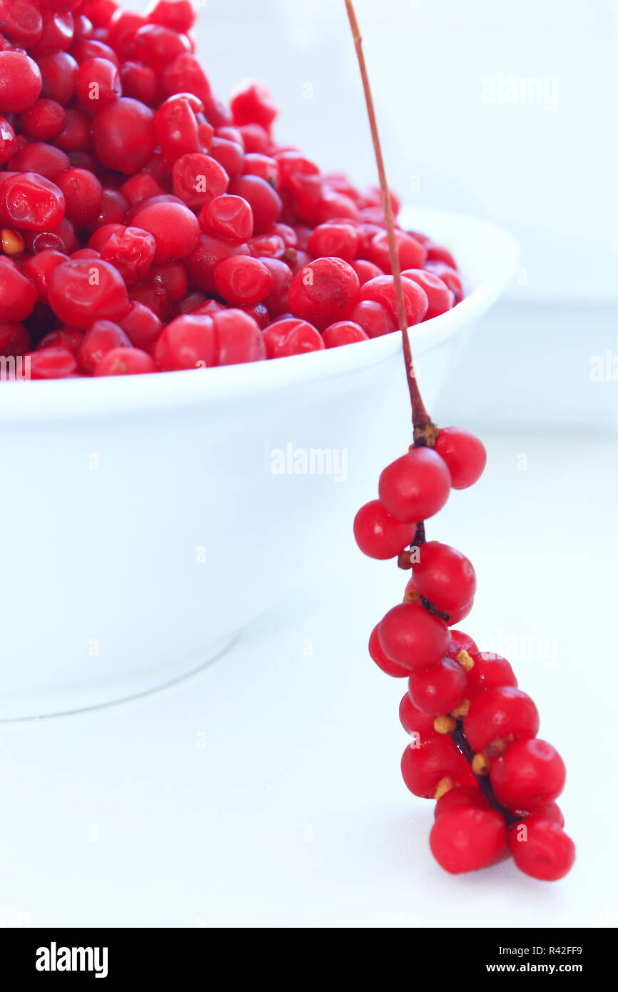 Fructus schisandrae hi-res stock photography and images - Alamy