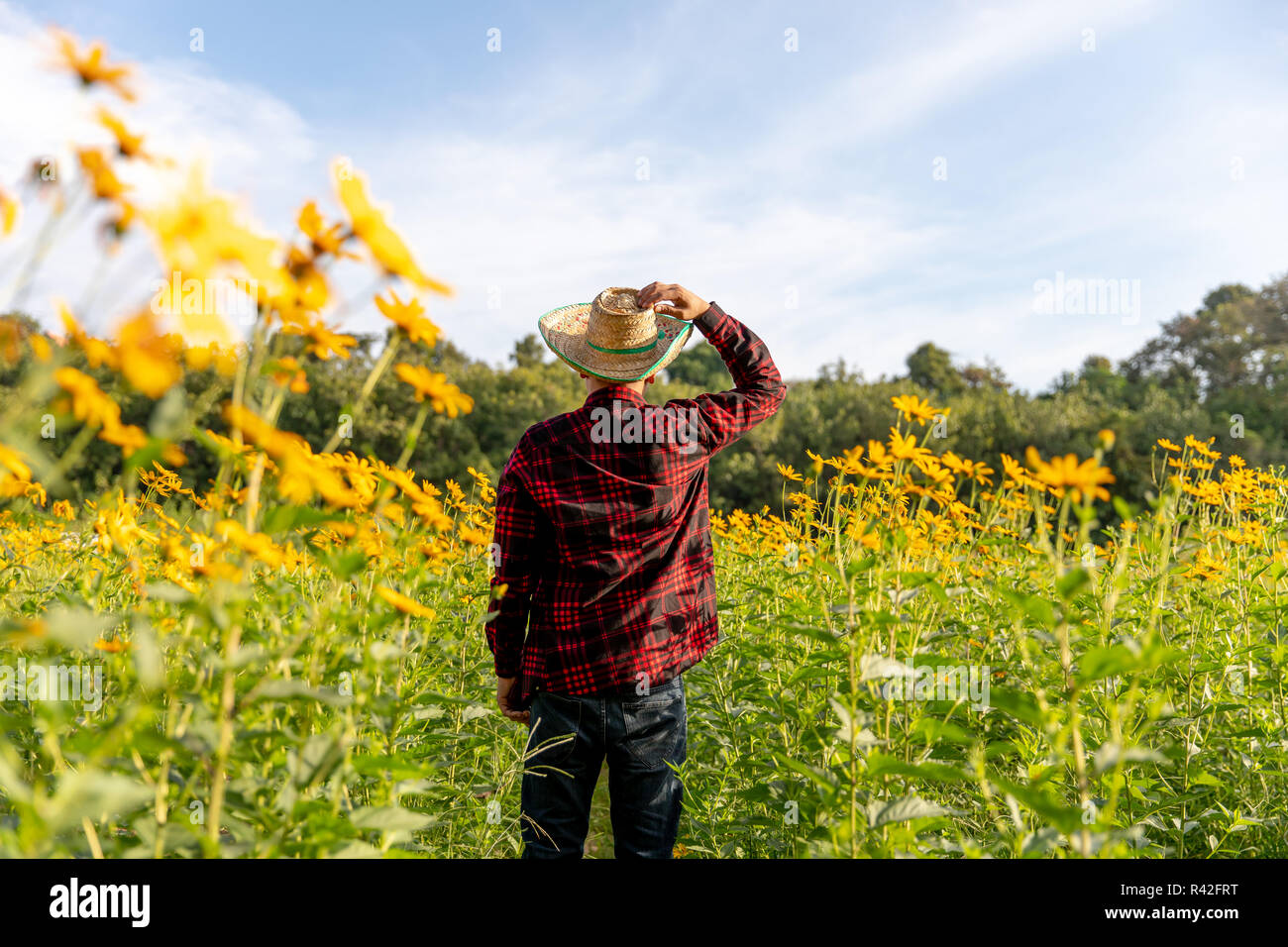 Farmers inspect the sunny summer flowers farm Stock Photo - Alamy