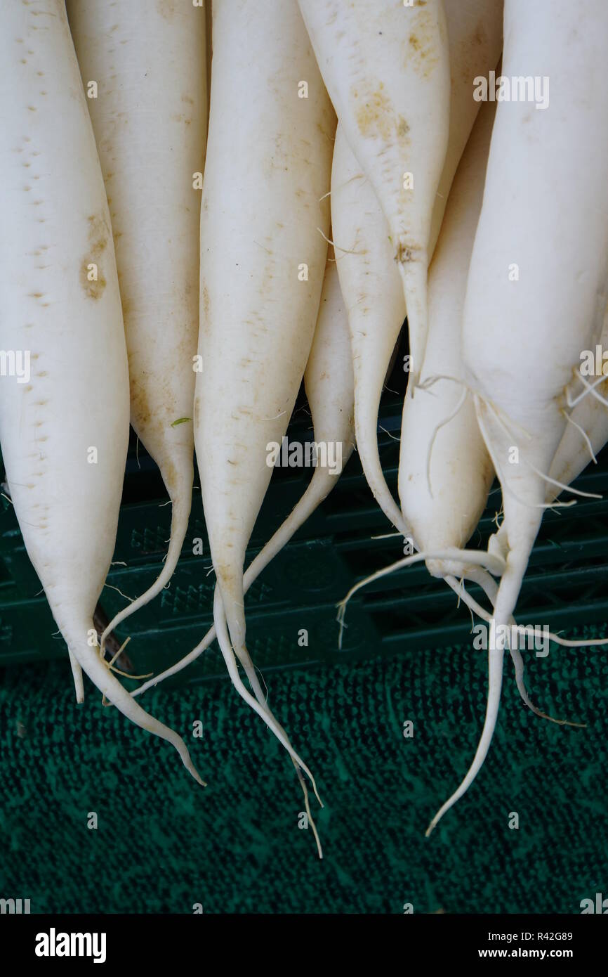 Ta rkenmarkt hi-res stock photography and images - Alamy
