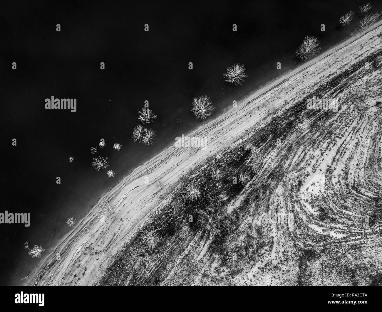 An aerial of trees submerged in the water of Googong Dam, NSW Stock ...
