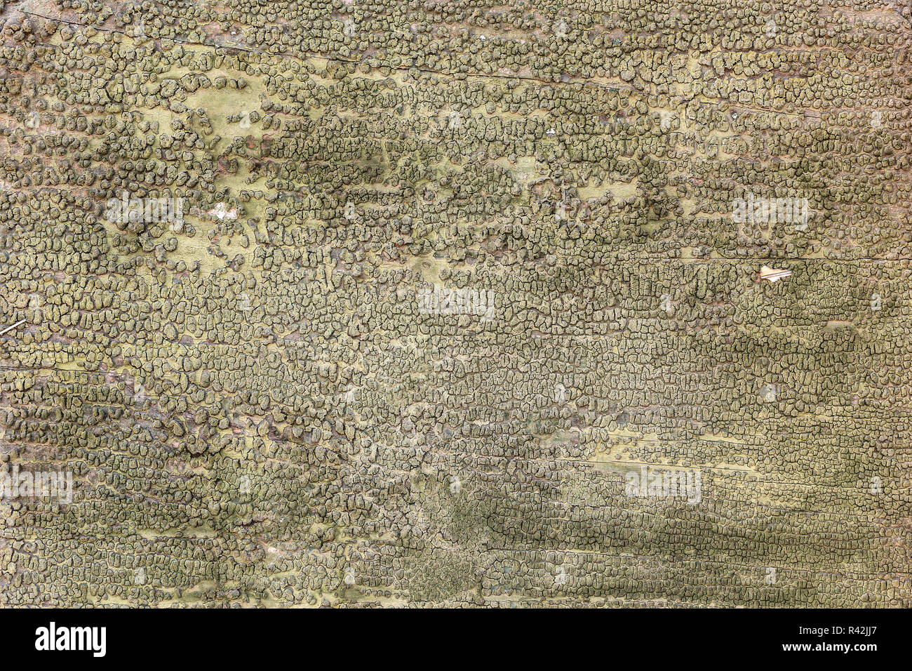 Old fence texture Stock Photo - Alamy