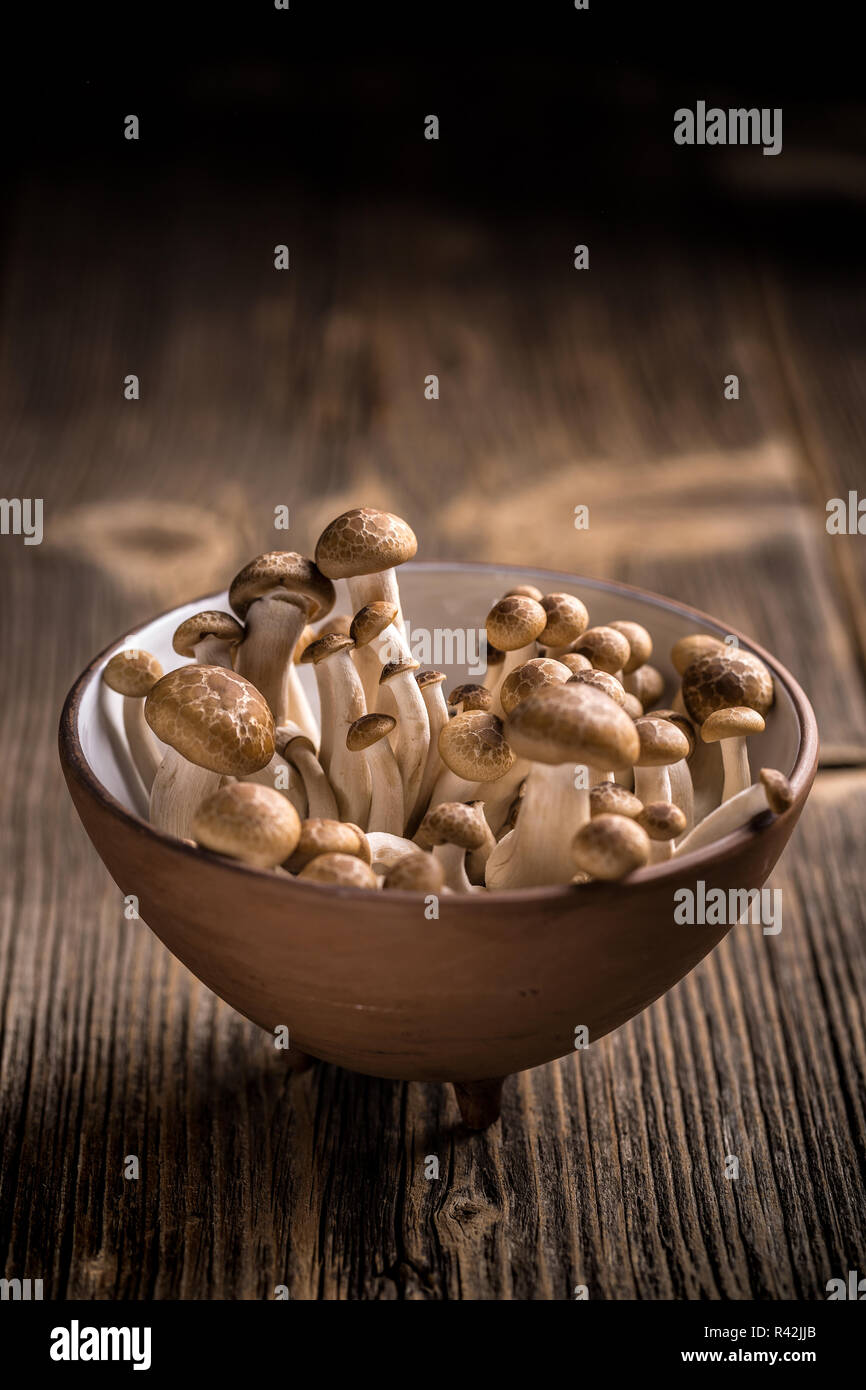 Bunashimeji hi-res stock photography and images - Alamy