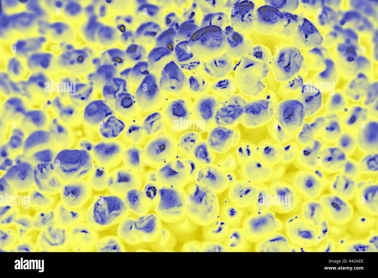 molecules and atom of organism Stock Photo - Alamy