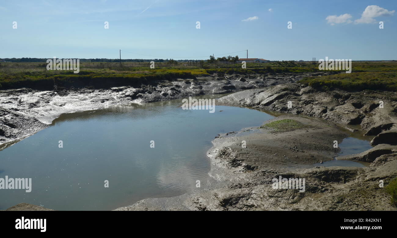 Sumpflandschaft hi-res stock photography and images - Alamy