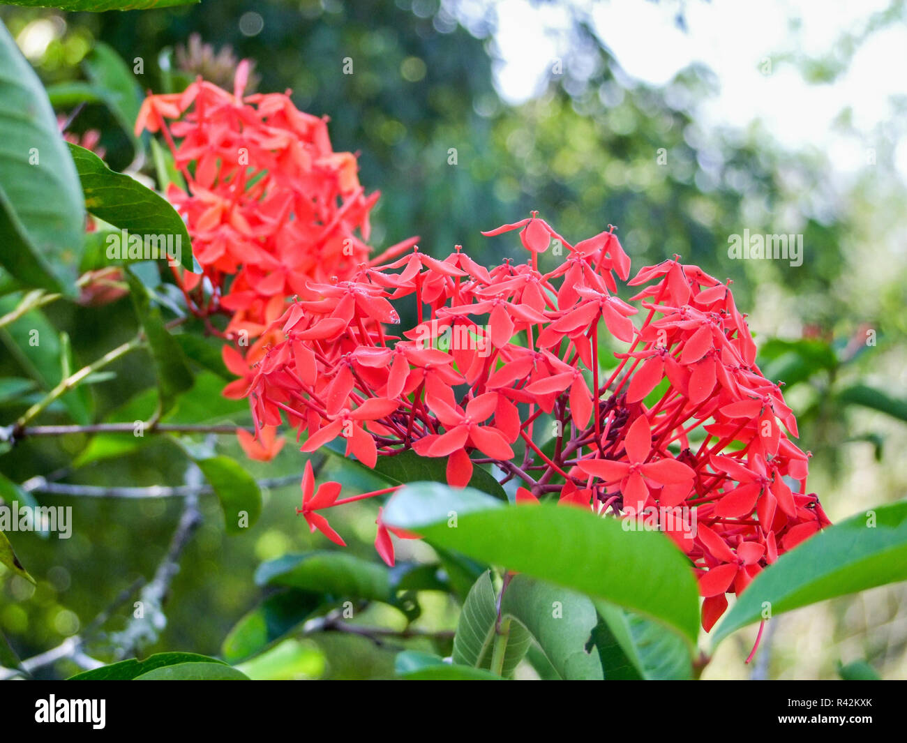 Outlandish location hi-res stock photography and images - Alamy