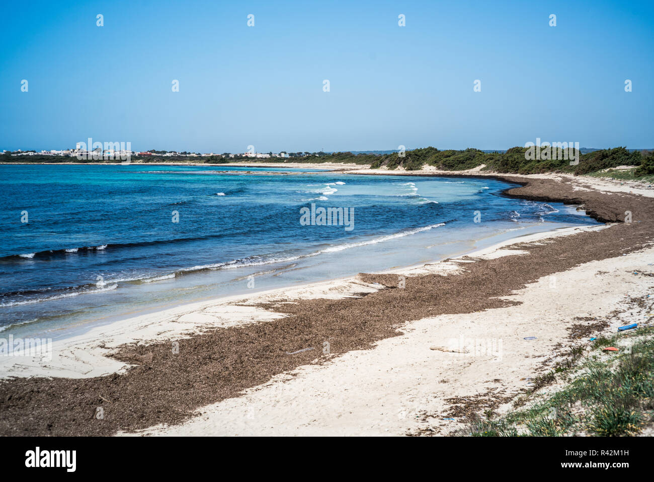 Beach, Salento, Italy, Europe Stock Photo - Alamy