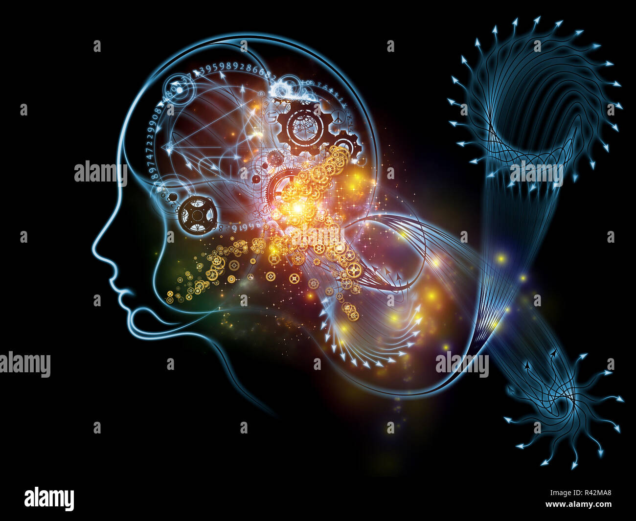 Face orbits hi-res stock photography and images - Alamy