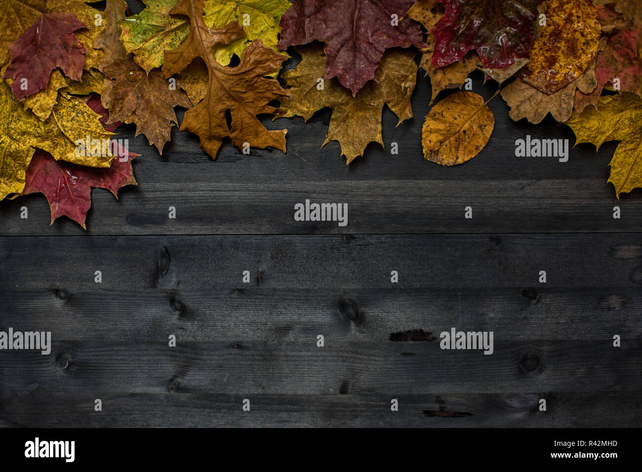 Wood autumn background Stock Photo - Alamy