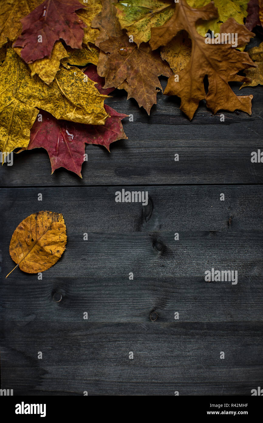 Wood autumn background Stock Photo - Alamy