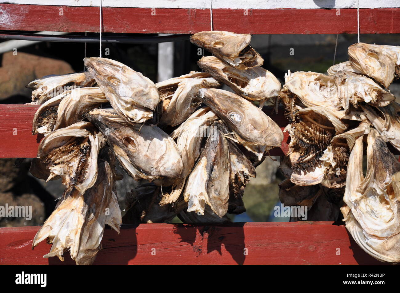 Seasoned dried fish hi-res stock photography and images - Alamy