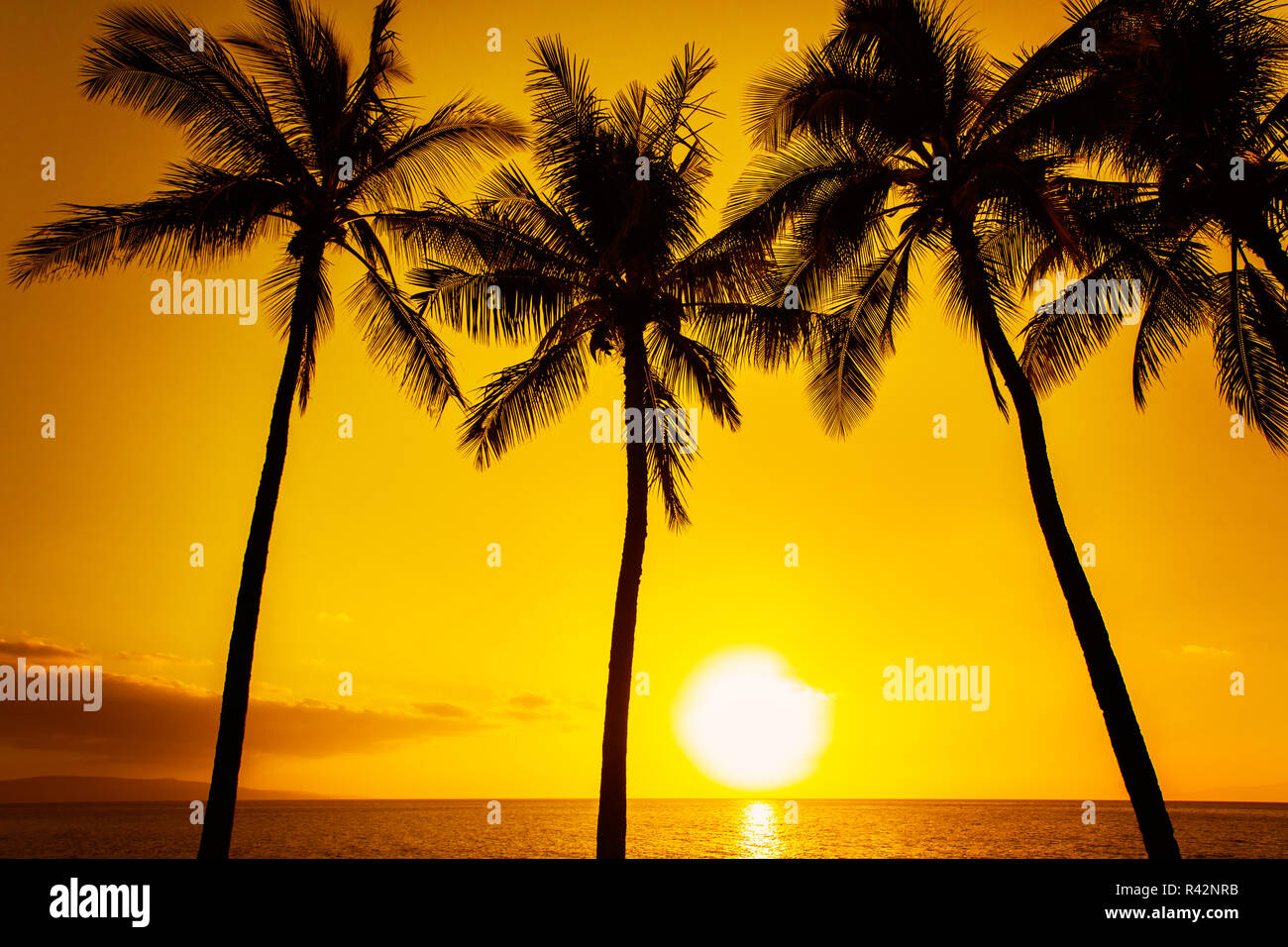 Golden tropical sunset Stock Photo - Alamy