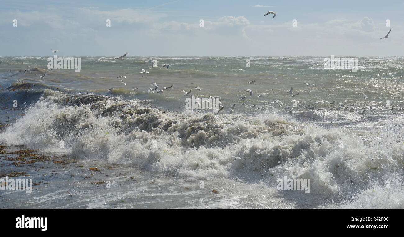 High Velocity Wind High Resolution Stock Photography and Images - Alamy