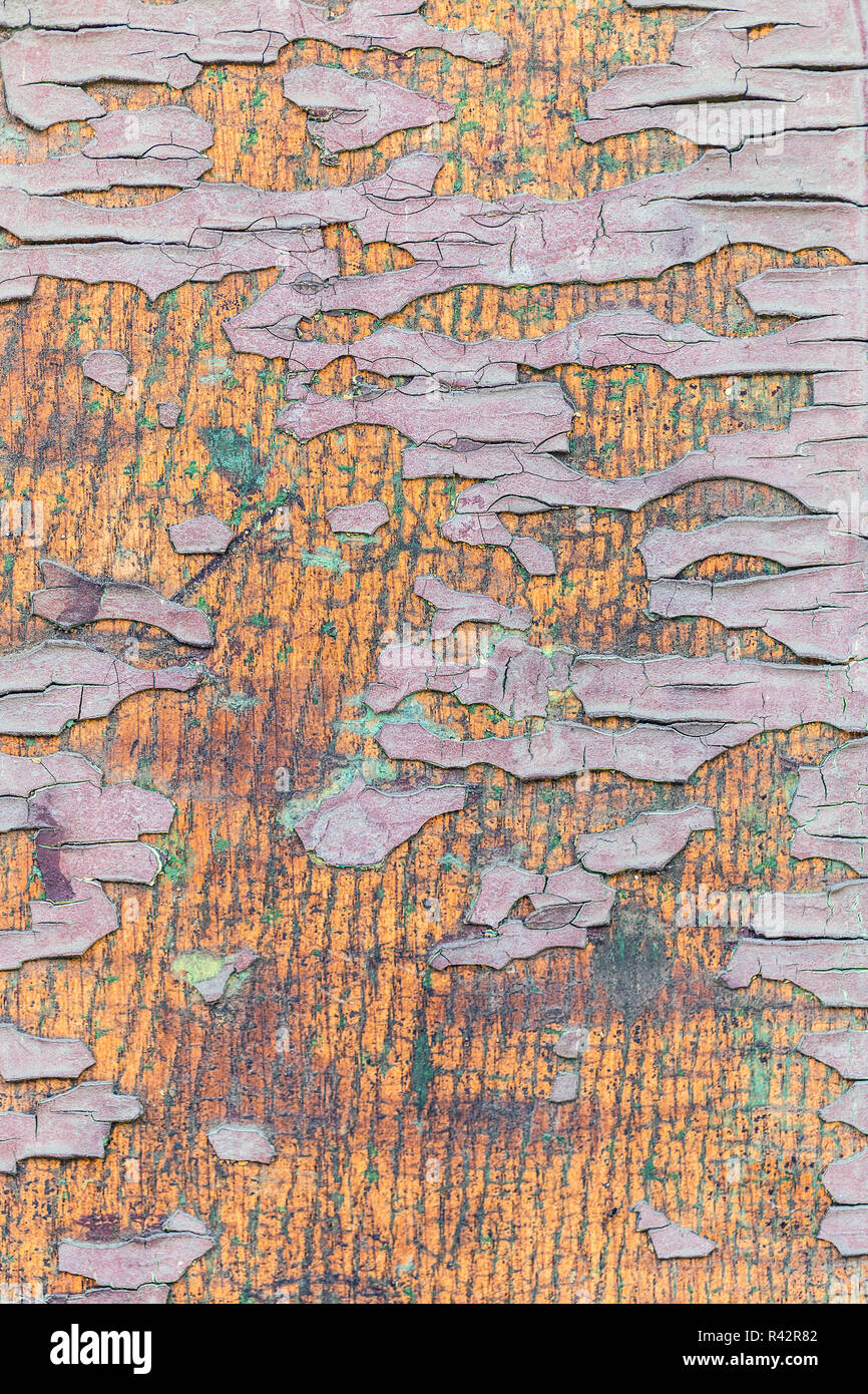 Wall with damaged plaster Stock Photo - Alamy