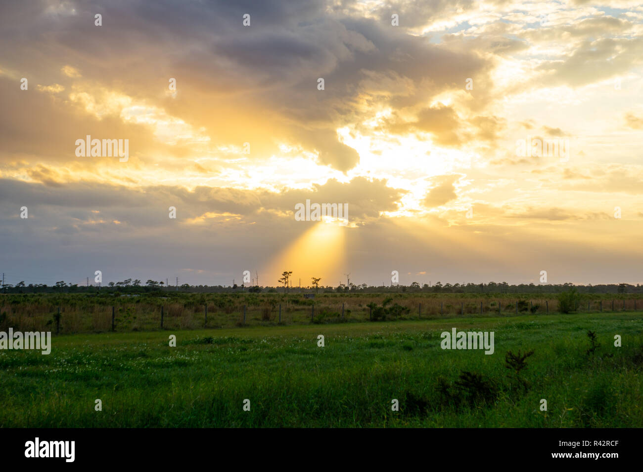 Florida martin county hi-res stock photography and images - Alamy
