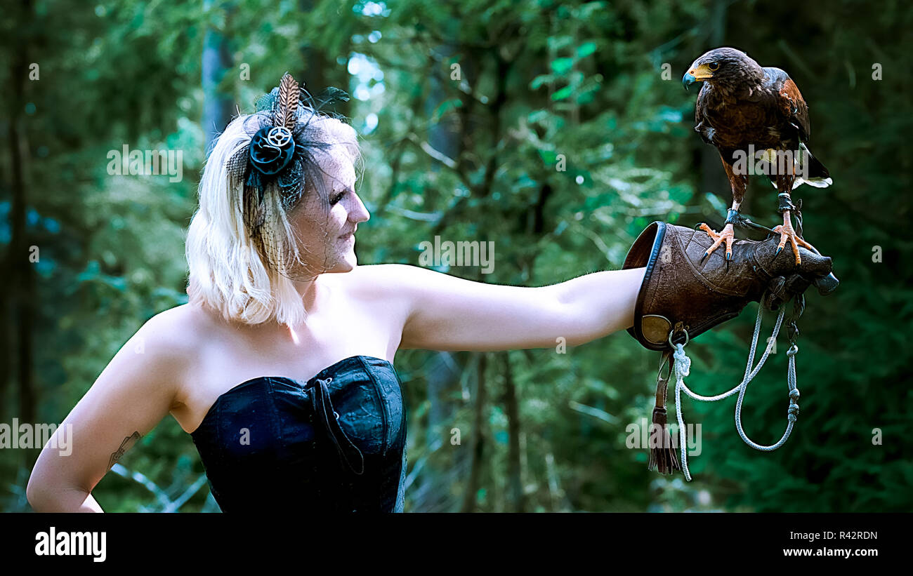 Lady falconer hi-res stock photography and images - Alamy
