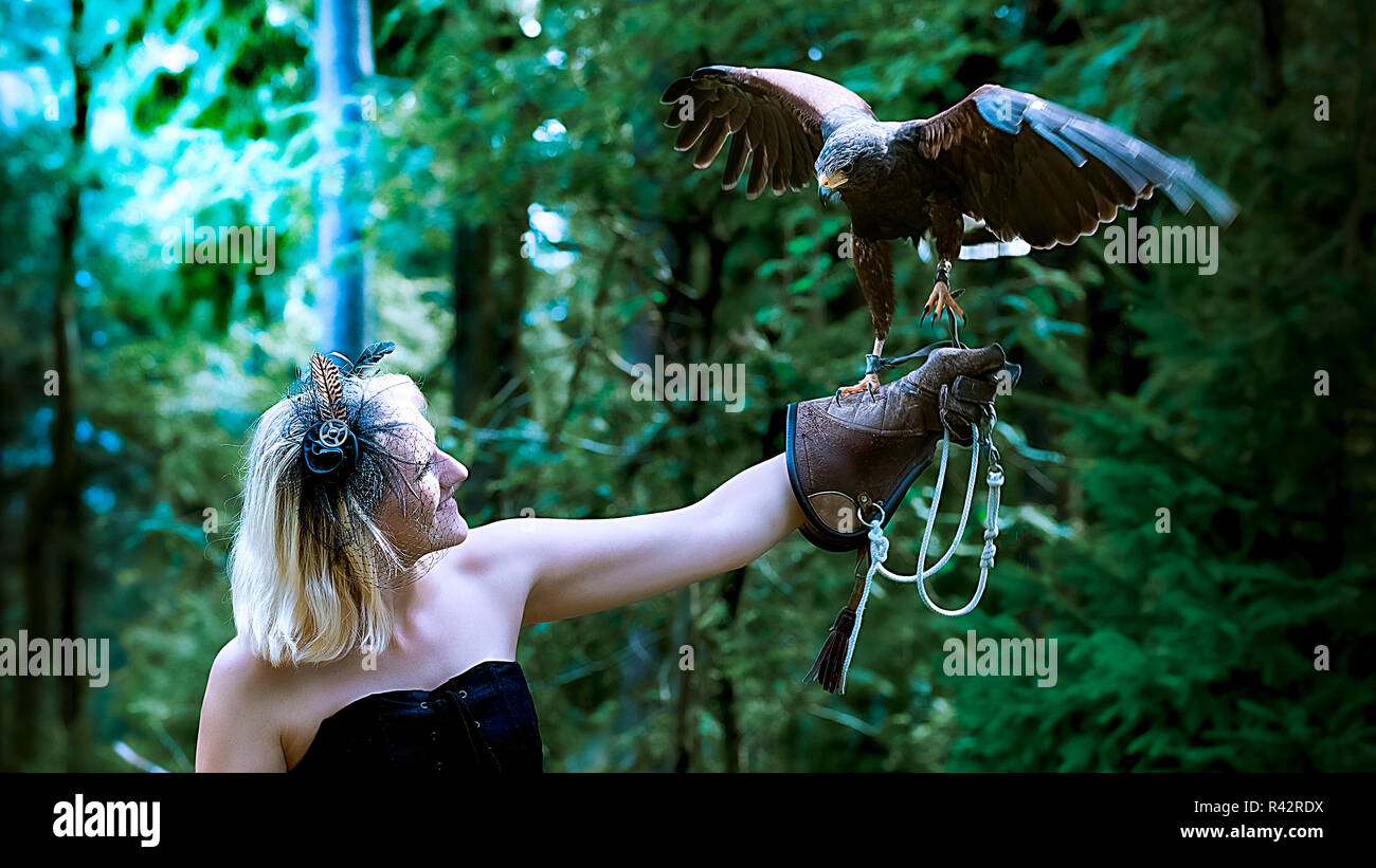 Lady hawk hi-res stock photography and images - Alamy