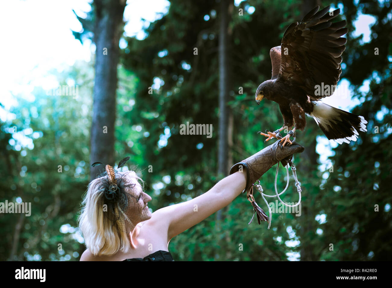 the lady with the desert buzzard Stock Photo - Alamy