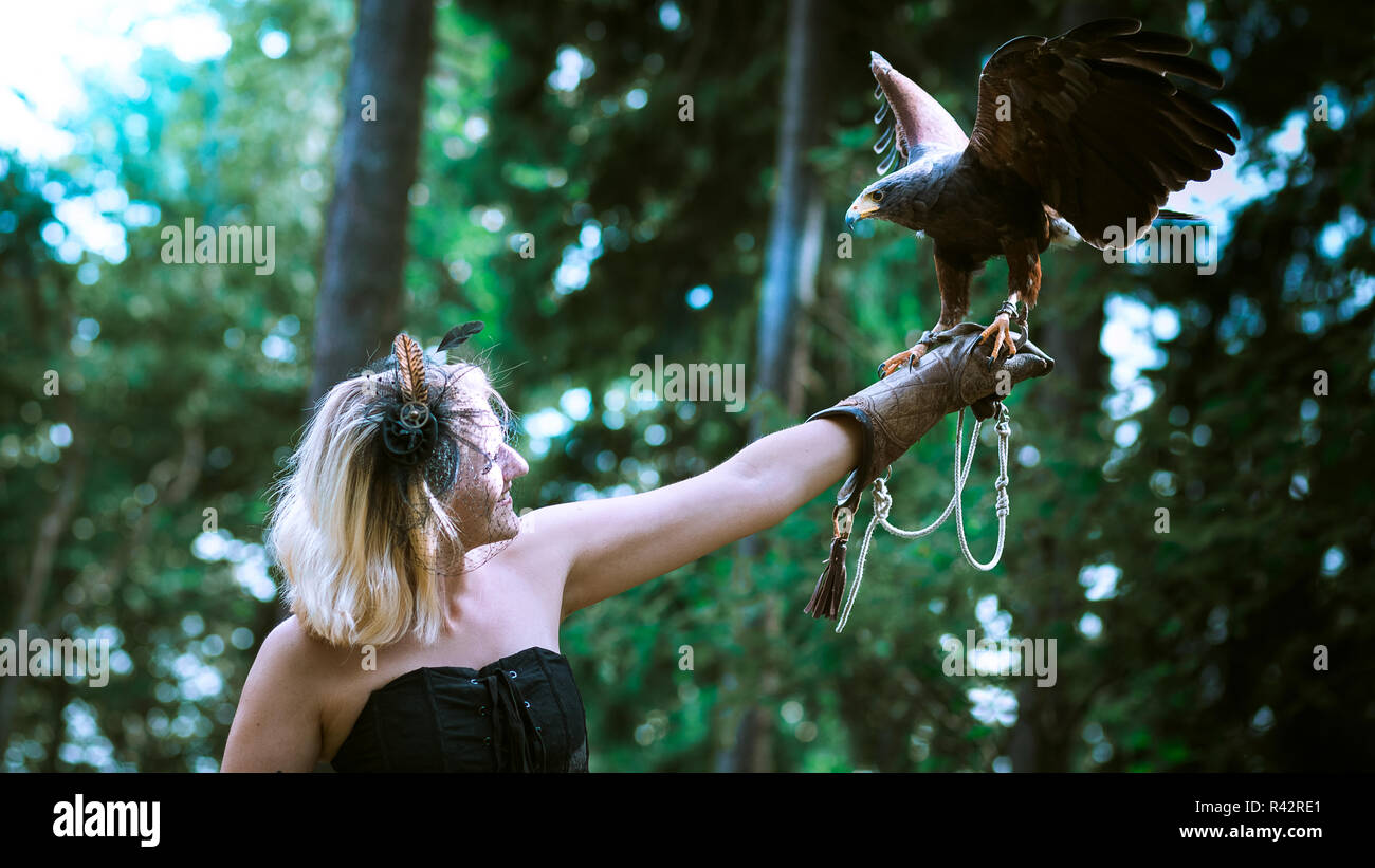 Lady hawk hi-res stock photography and images - Alamy