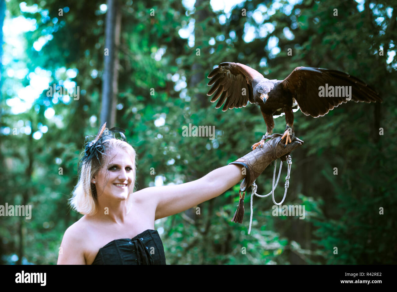 the lady with the harris hawk Stock Photo - Alamy